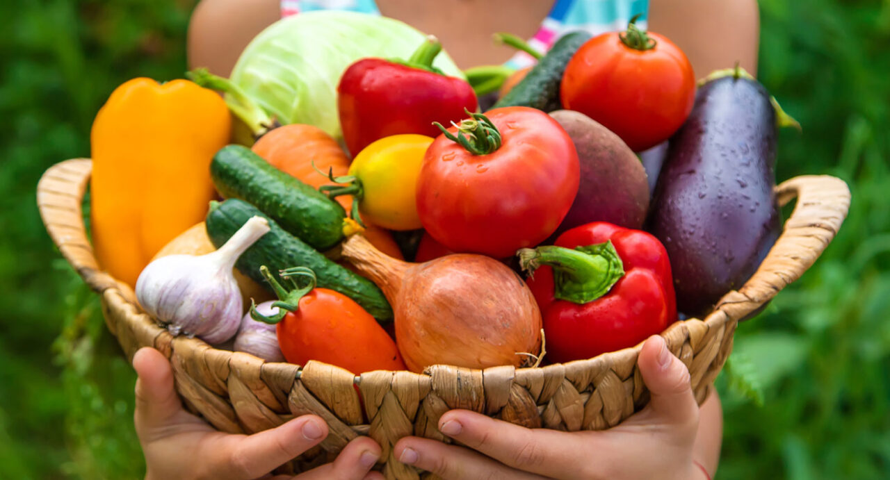 Healthy Meal Incentive Application | Action for Healthy Kids